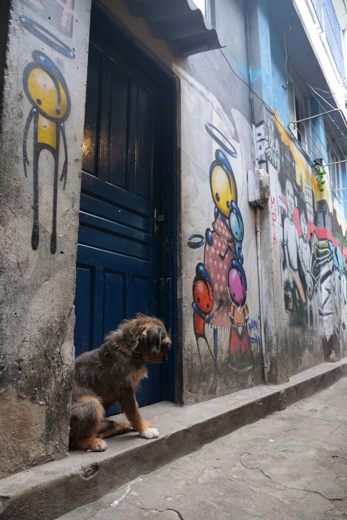 Favela Visit in Rocinha - A Brazilian Sensory Overload of Food, Art ...