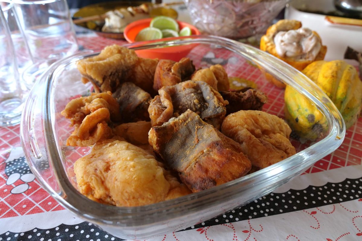 Açaí Island Tour with a Local Belém Family - How Locals Eat Açaí