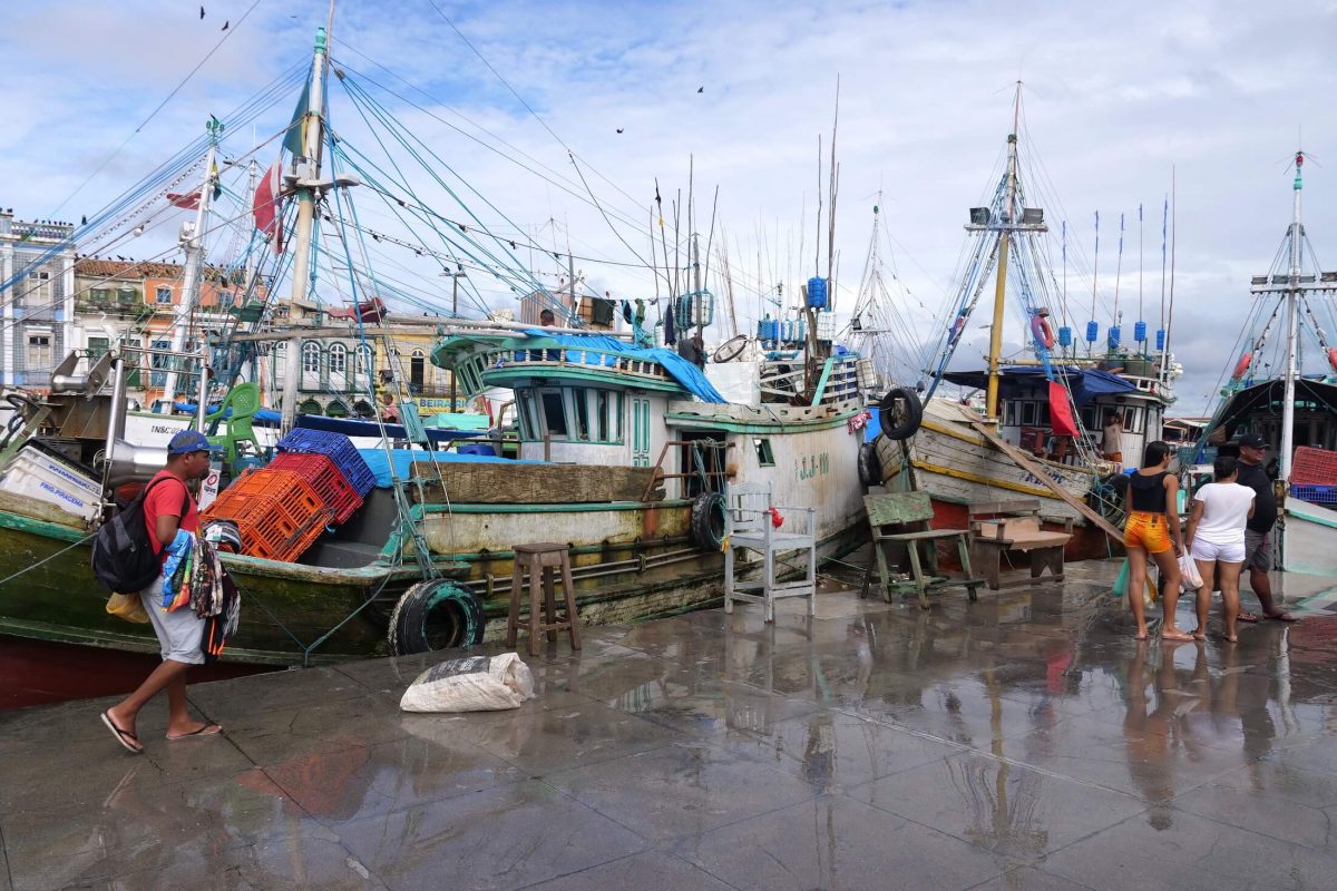 Açaí Island Tour with a Local Belém Family - How Locals Eat Açaí