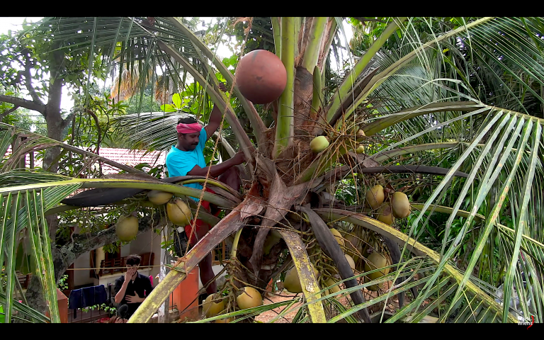 Toddy Shop Food Experience for Kerala's Most Tasty (and Spicy) Meal
